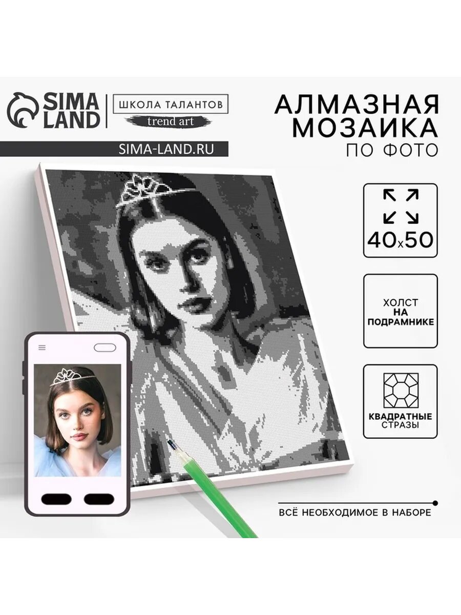 Алмазная мозаика по фото 40x50 см в серых тонах