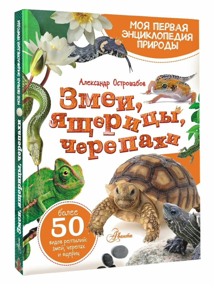 Змеи, ящерицы, черепахи. Энциклопедия