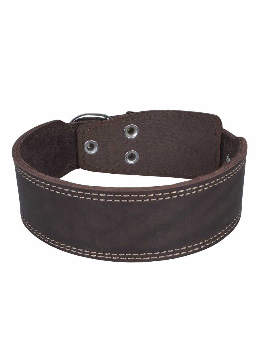Ошейник для собак средних и крупных пород, кожаный, на шею от 50 до 60 см