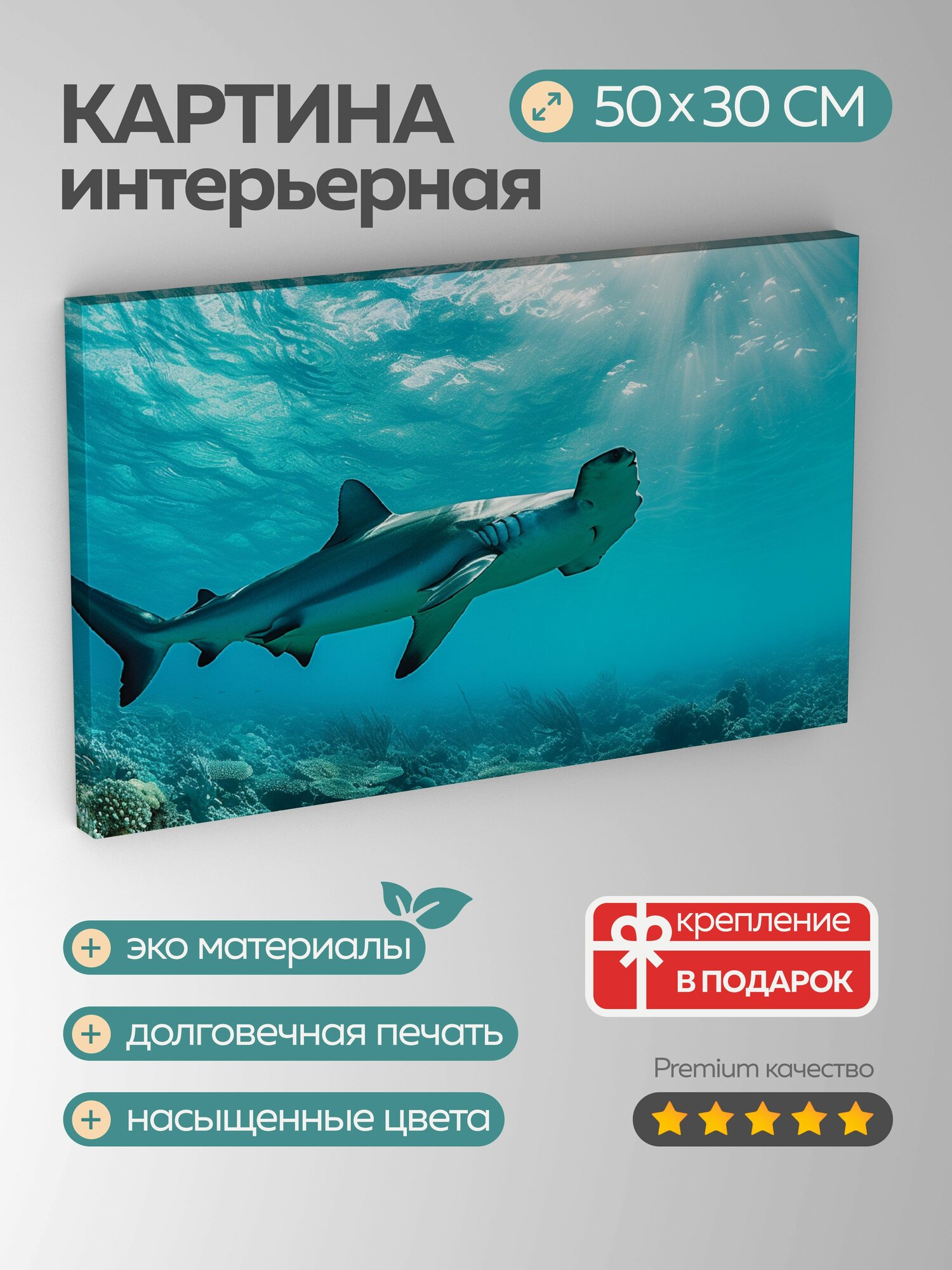 Картина на холсте интерьерная 50х30 см, акула-молот, величественная, голова, глаза, широкое поле зрения, тело акулы