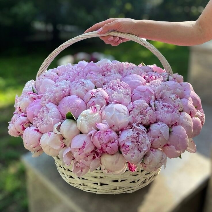 Букет из розовых пионов 51 шт в корзине, красивый букет цветов, шикарный, премиум цветы, премиум букет