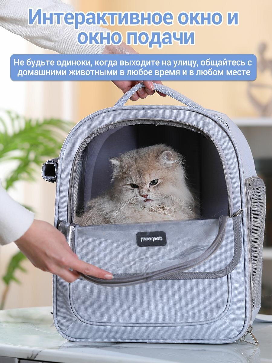 Переноска — фото 1