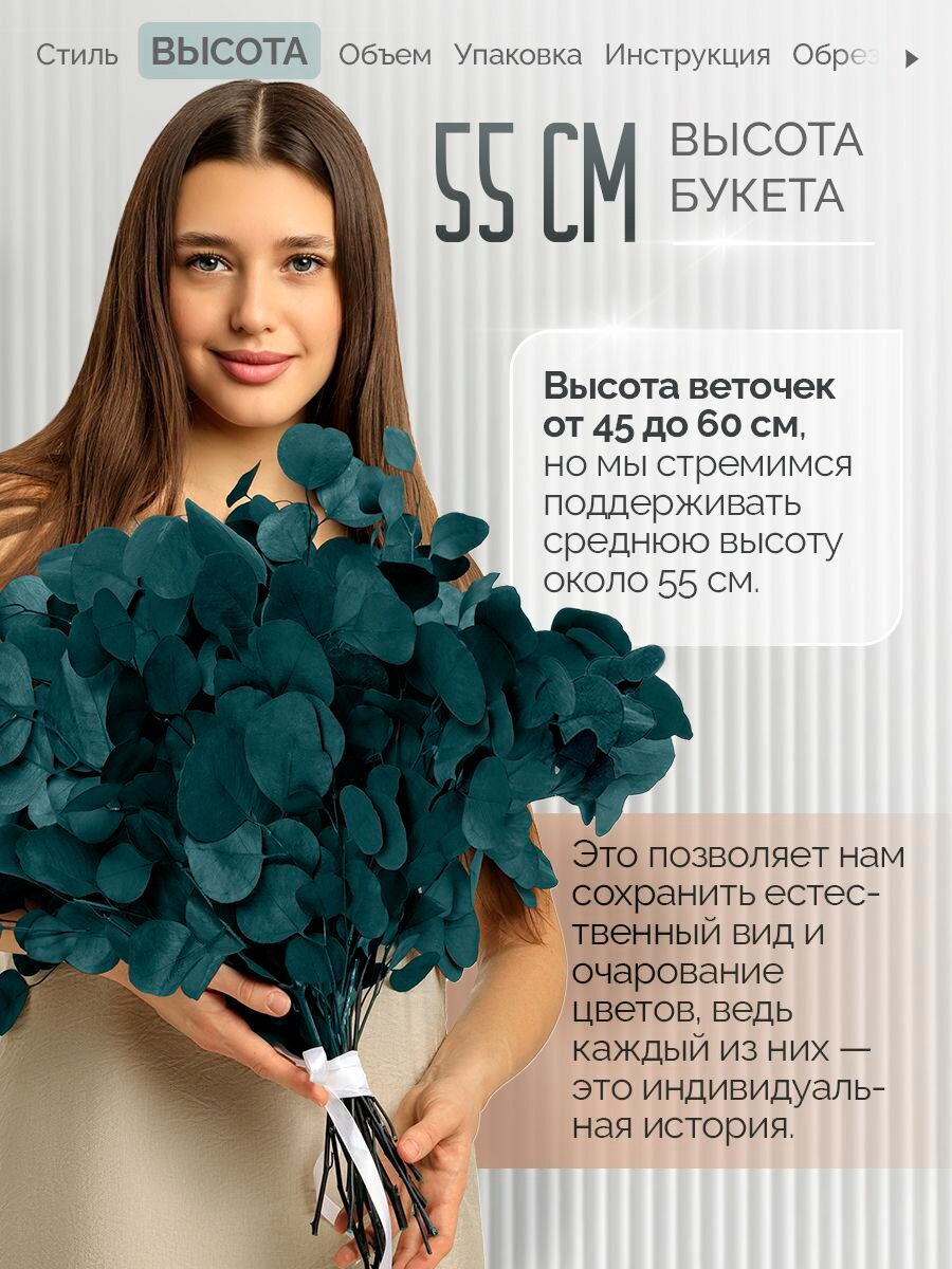 Сухоцветы — фото 1