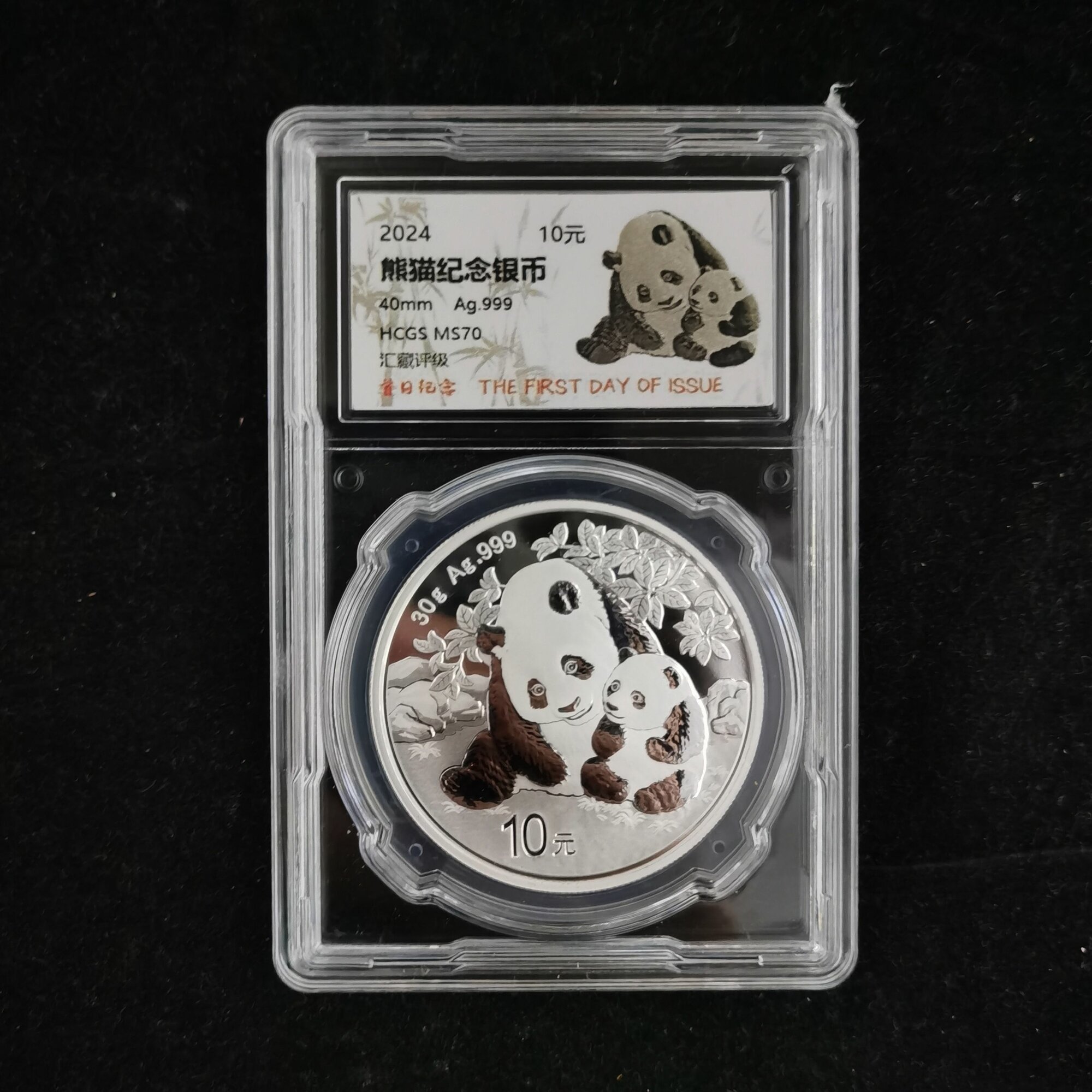 2024 Китай 10 Юаней 30г Панда Серебряная монета HCGS MS70