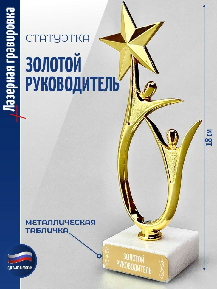 Статуэтка "Золотой руководитель" со звездой (18 см)