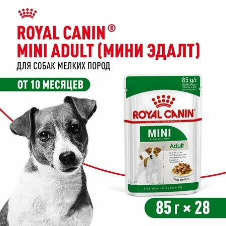 ROYAL CANIN MINI ADULT 28 шт по 85 г кусочки в соусе, влажный корм для взрослых собак мелких размеров от 10 месяцев