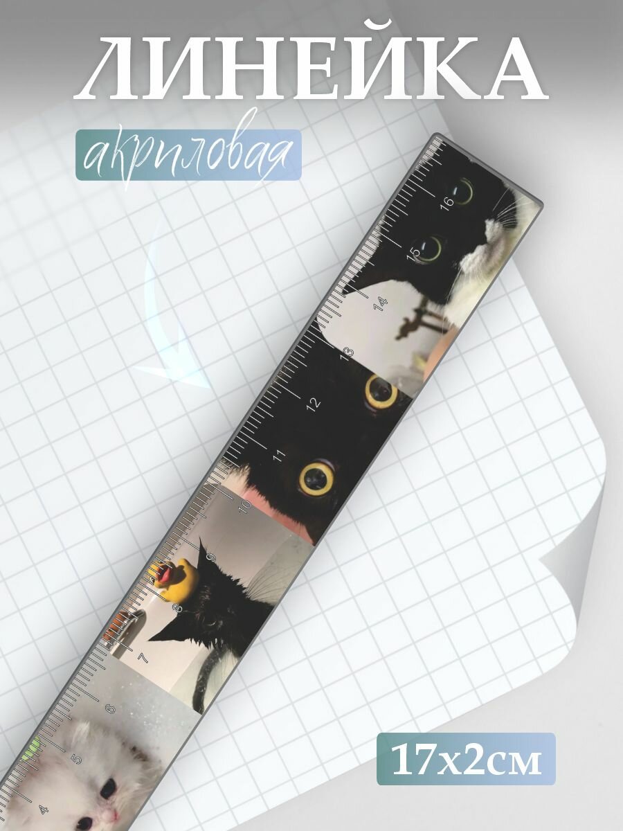 Линейка школьная meme cats-мемные коты