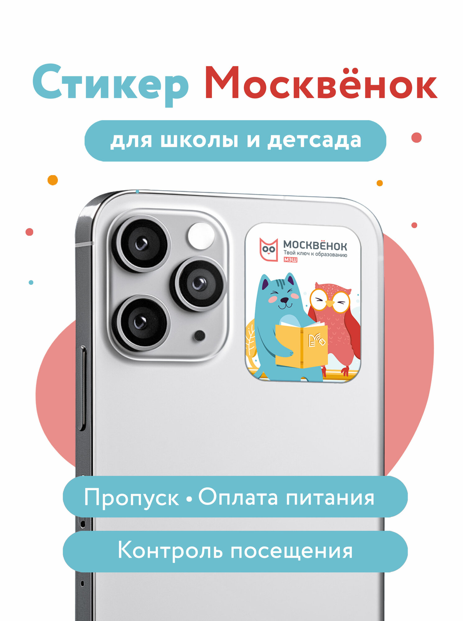 Стикер Москвенок, пропуск карта в школу "Кот и сова", электронная карта школьника