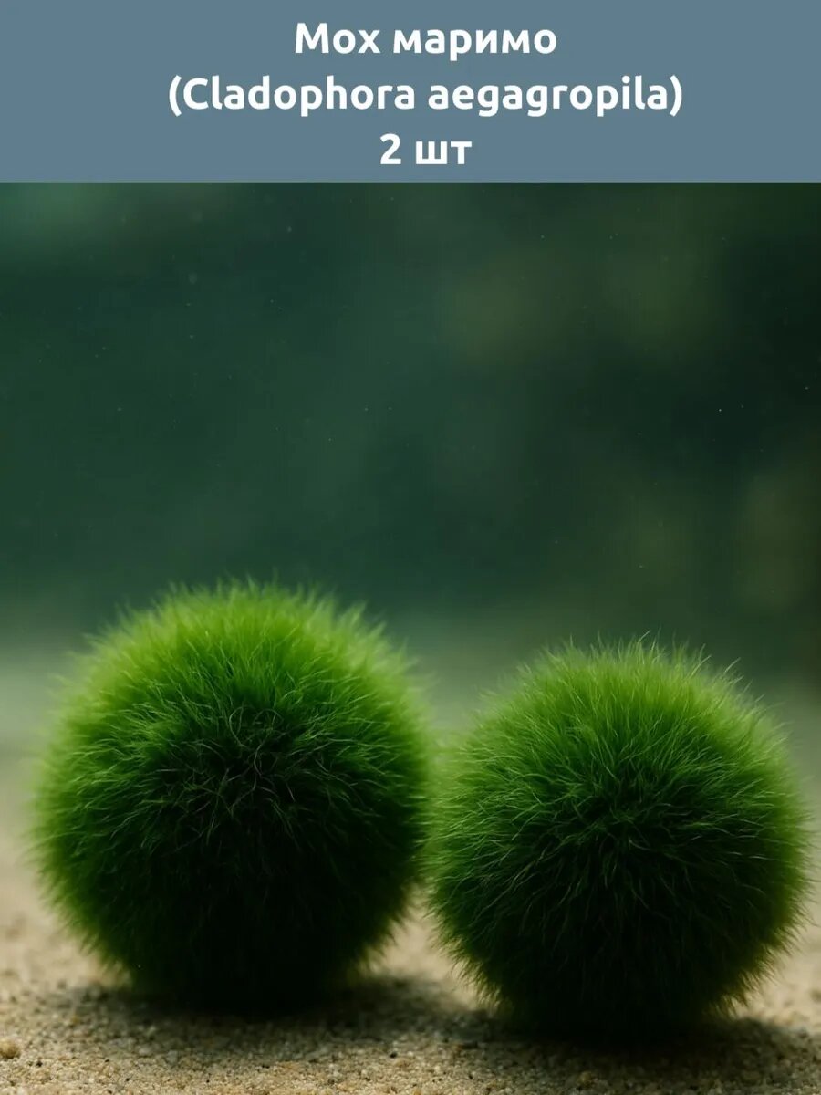 Декорация для аквариума