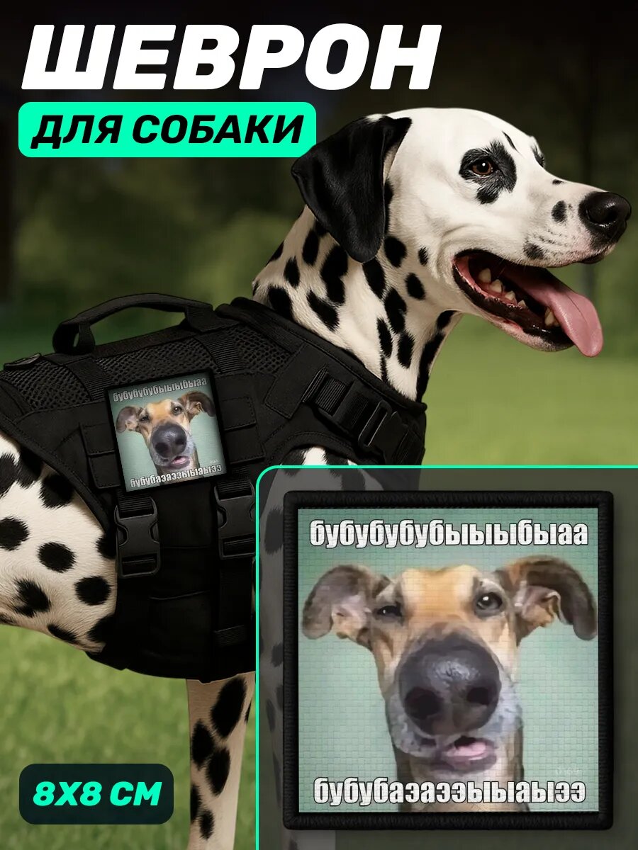 Шеврон на шлейку для собак Мем Собака