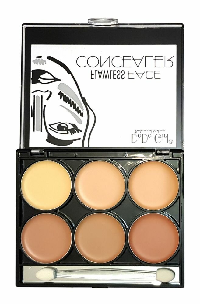 Палетка корректор / консилер DoDo Girl Flawless Face Concealer, 6 цветов, набор 02