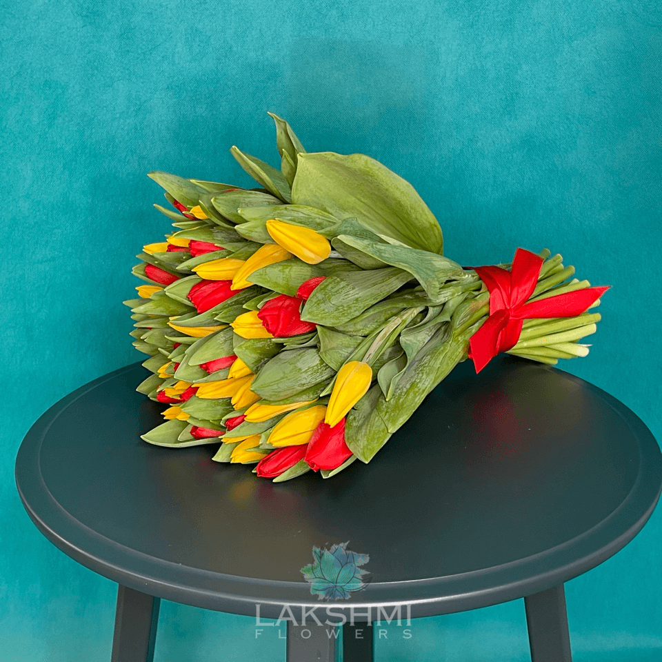 51 тюльпан микс / Букет из 51 красного и желтого тюльпана под ленту