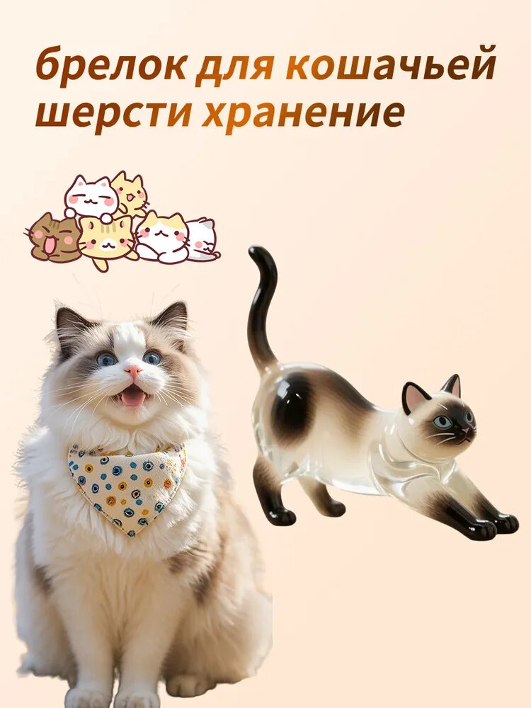 Прозрачная капсула для хранения кошачьей шерсти, пластиковый контейнер-брелок, коллекционный аксессуар для любителей кошек