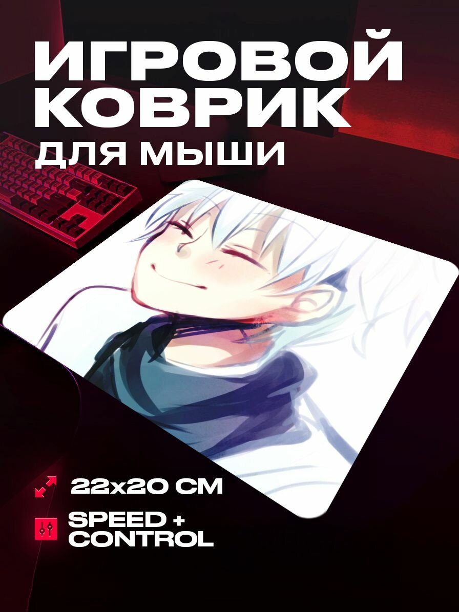 Коврик для мыши игровой Охотник х Охотник 22 на 20 аниме