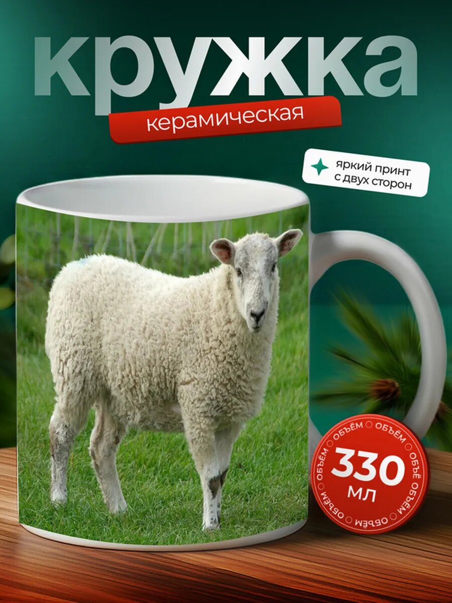 Кружка Бараны_006,