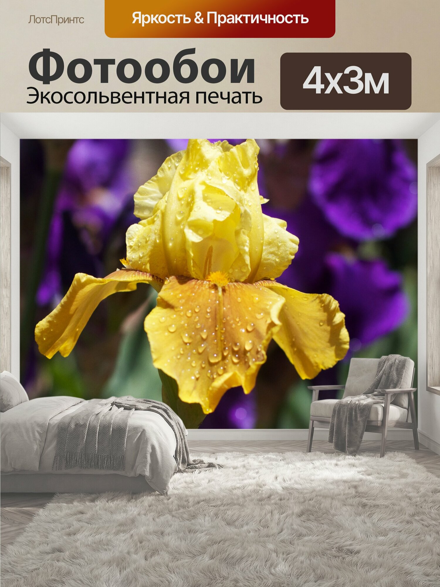 Фотообои "Цветок Ирис Желтый Закройте детали красивый цветок желтого ириса цветок Ирис желтый близко подробности лепестки воды капли капельки." 400x300 см. экосольвентная печать