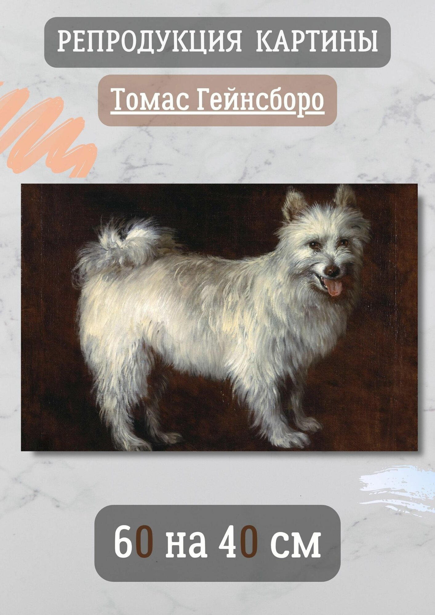 Гейнсборо Томас "Шпиц". Картина 60х40 см на холсте