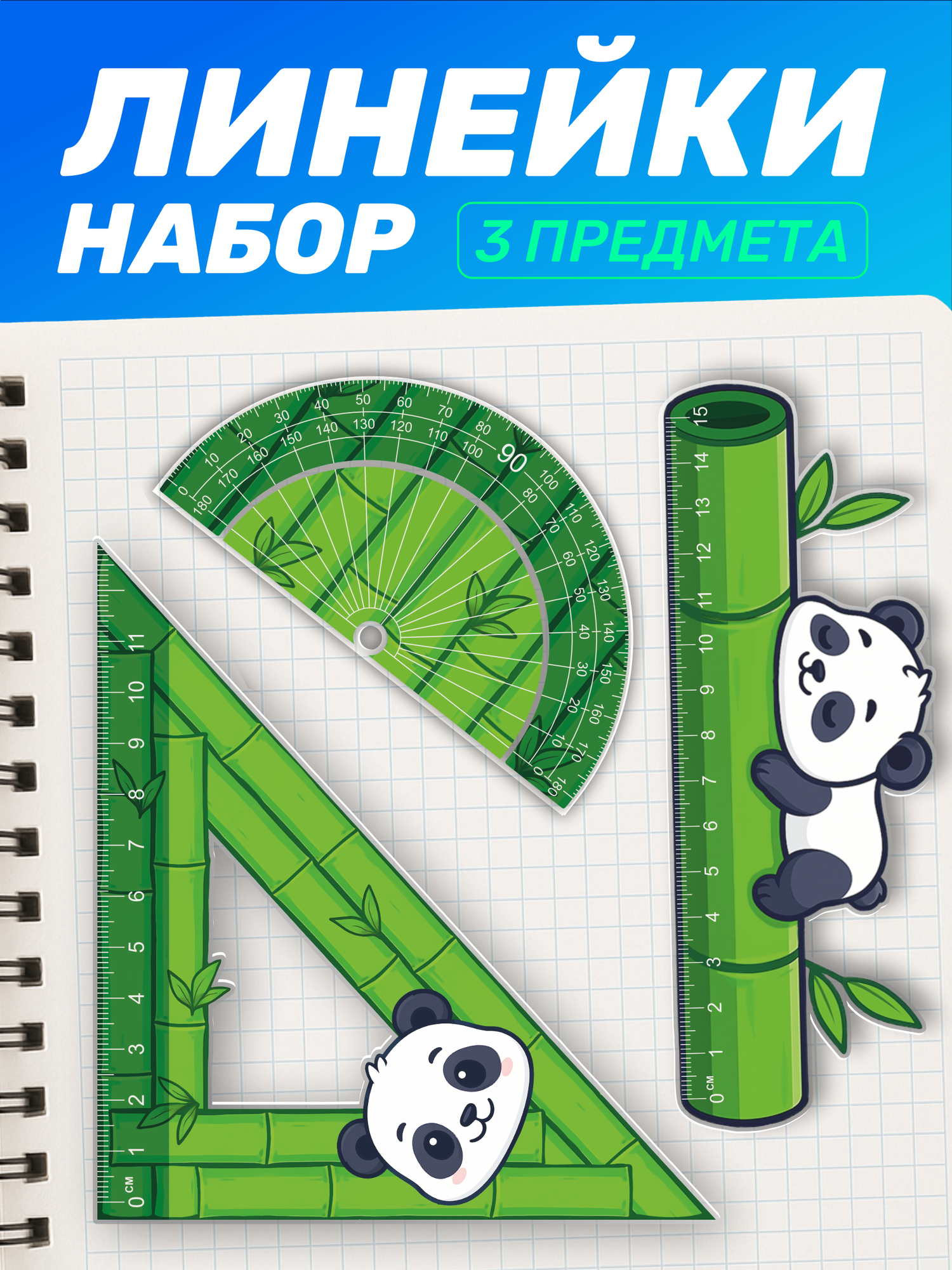 Набор линеек для школьника с транспортиром Панда и бамбук