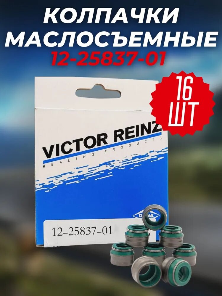 Колпачки маслосъемные для установки, комплект 16 штук, 16 клапанный двигатель - Victor Reinz арт. 12-26058-03/10286