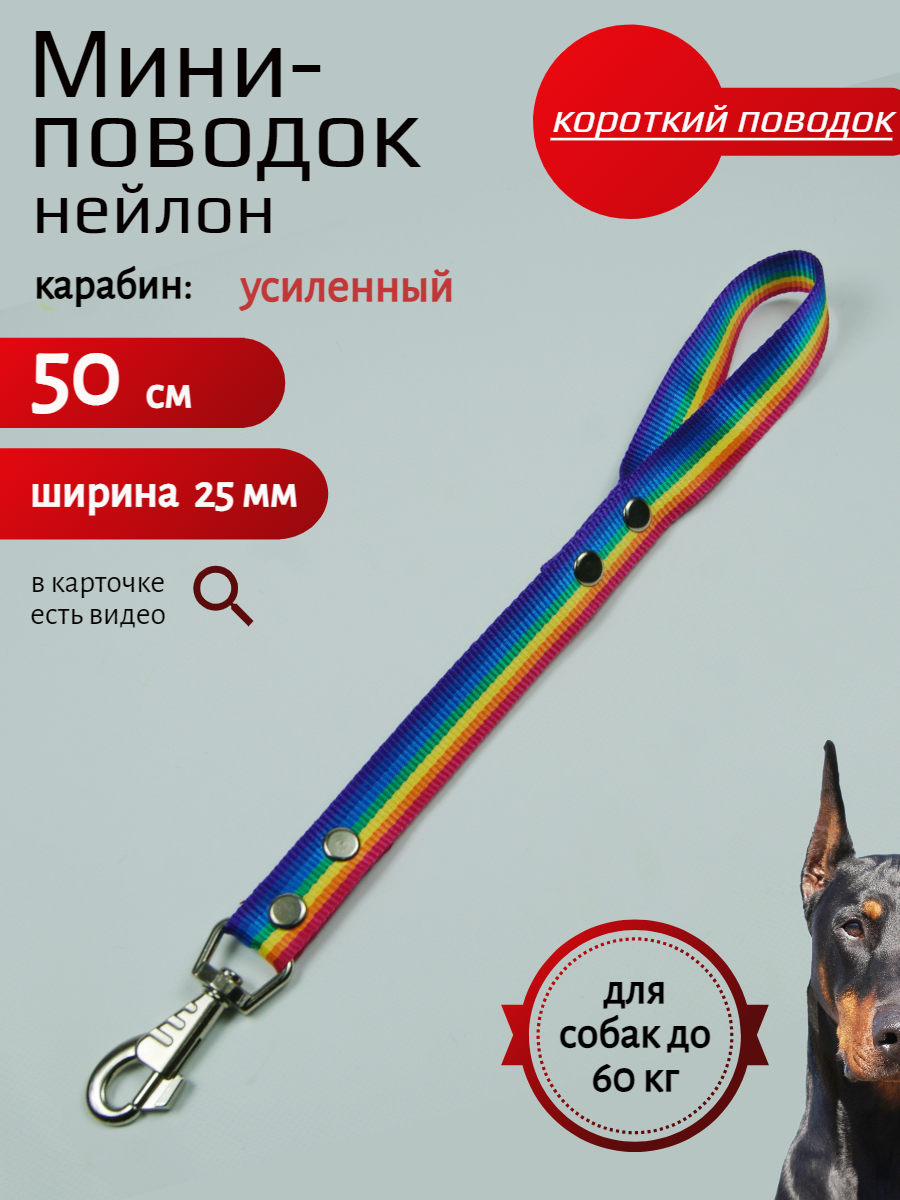Мини-поводок Хвостатыч для собак с усиленным карабином нейлон 50 см х 25 мм (радуга)