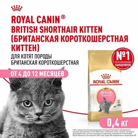 ROYAL CANIN BRITISH SHORTHAIR KITTEN 400 г корм сухой, сбалансированный, для британских короткошерстных котят, в возрасте от 4 до 12 месяцев
