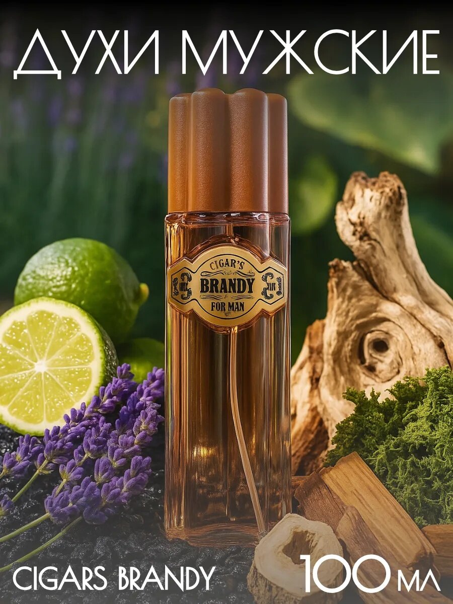 Туалетная вода мужская Sigar's Brandy, 100 мл (по мотивам Whisky)