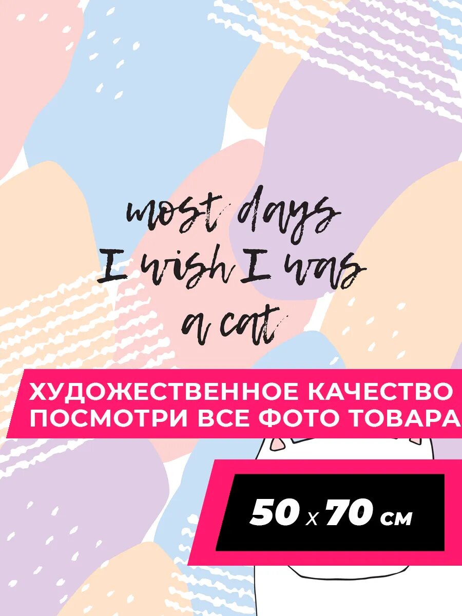 Most days a cat В большинстве дней я кот 50 на 70