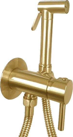 Гигиенический душ Paffoni Tweet Round ZDUP110HGSP встраиваемый, скрытого монтажа, со смесителем, латунь, рычажный, смеситель для биде