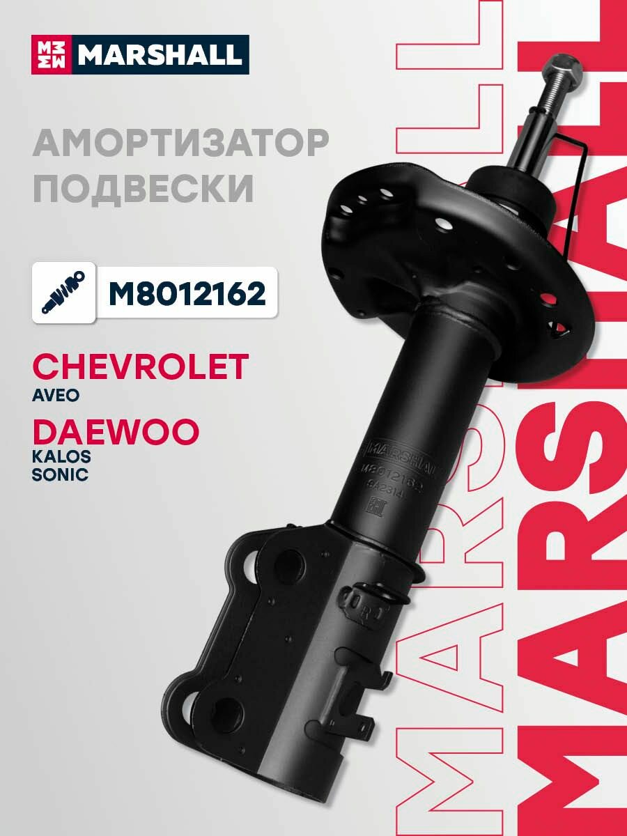 Амортизатор подвески передний правый Chevrolet Шевроле Aveo Авео, Cobalt Кобальт, RAVON R4 52024163