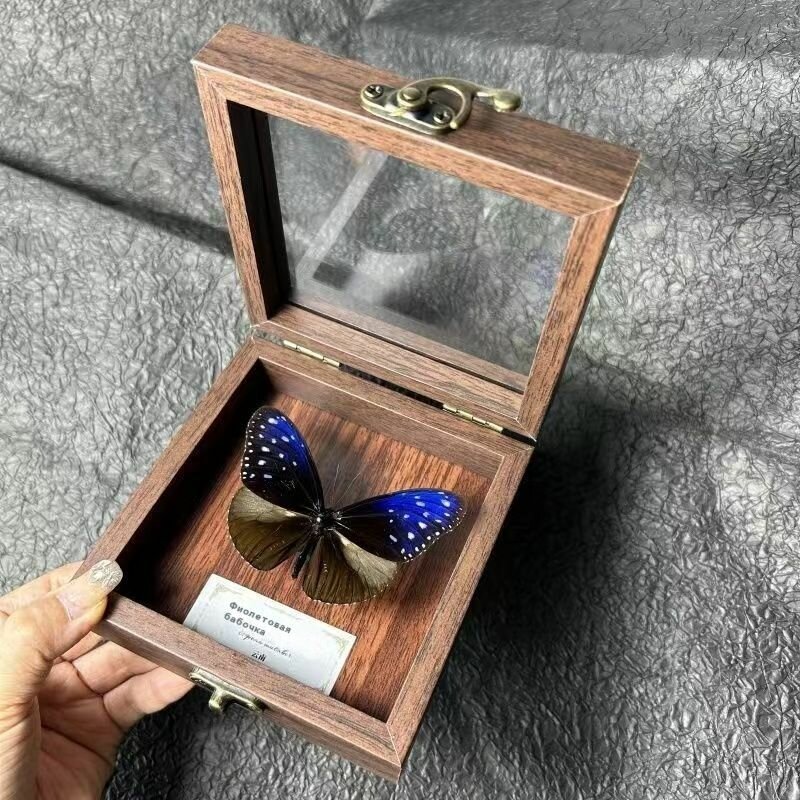 GEALFIS настоящие бабочки в рамке образцы насекомых 3D энтомологическая коллекция декор для дома и офиса