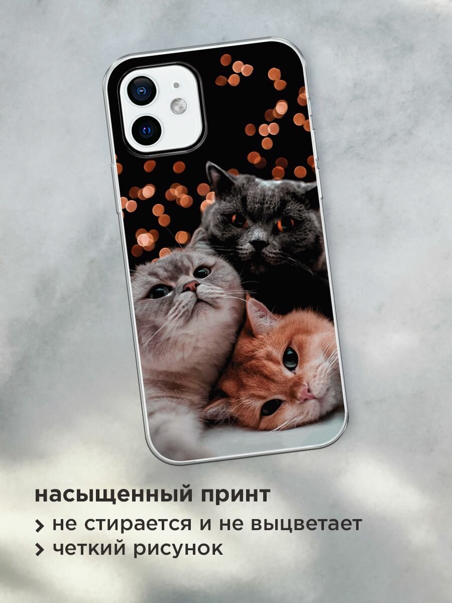 Чехол на Apple iPhone 12/12 Pro / Айфон 12/12 Про с принтом "Кошачьи обнимашки" — фото 1