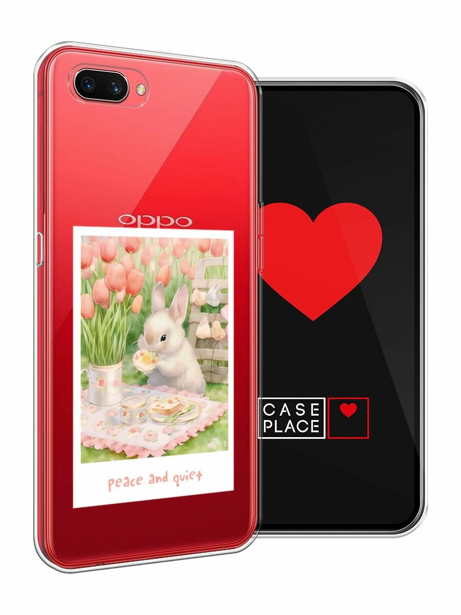 Чехол на Oppo A3s / Oppo A3s с принтом "Кролик на пикнике", прозрачный — фото 1