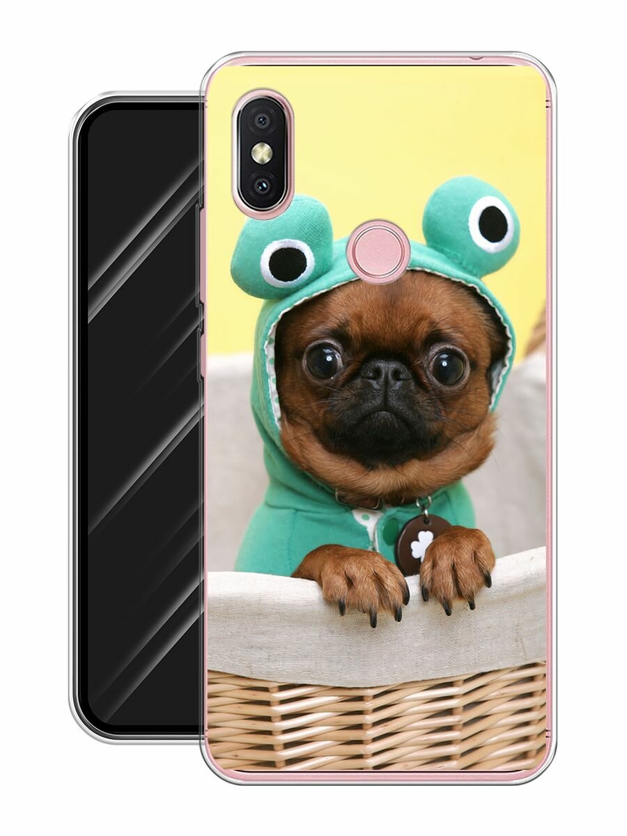 Чехол на Xiaomi Redmi S2 (Redmi Y2) / Сяоми Редми С2 (Редми Y2) с принтом "Собачка в шапке лягушки" — фото 1