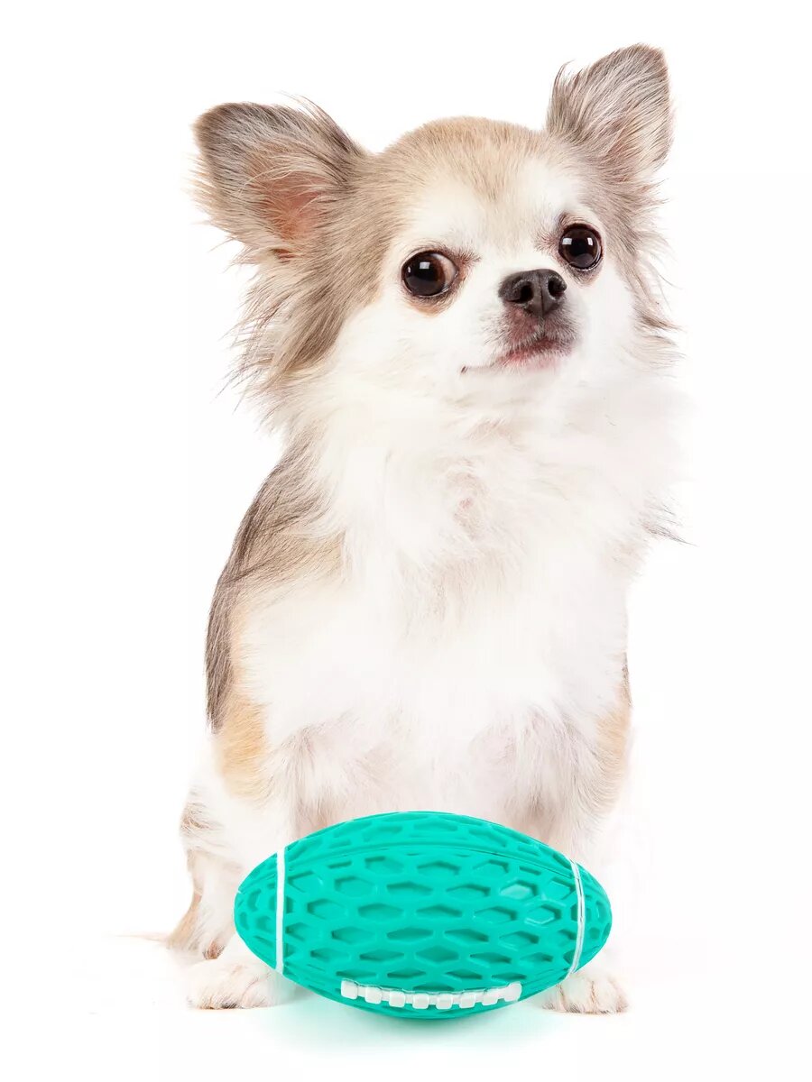 Мяч регби для собак 14.5x8.2x7.9см