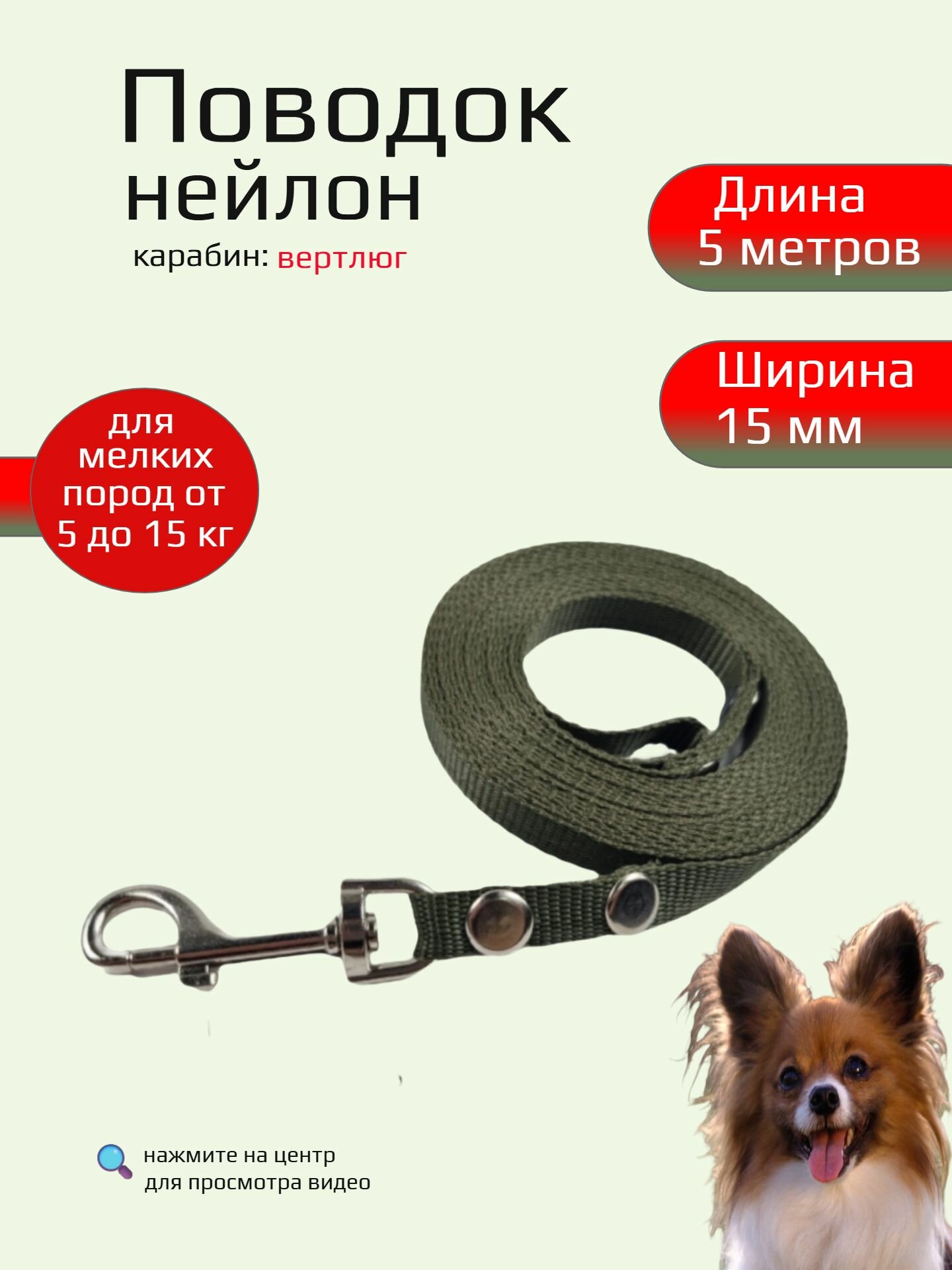 Поводок Хвостатыч для собак с карабином нейлон 5 м х 15 мм (зеленый)