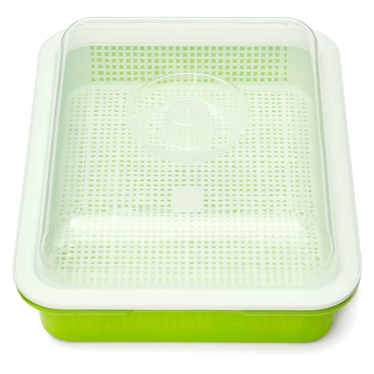 Старое дерево Семена Проращиватель Лоток Для Проращивания Бобов Семена Здоровый Проращиватель Пшеницы Ростки