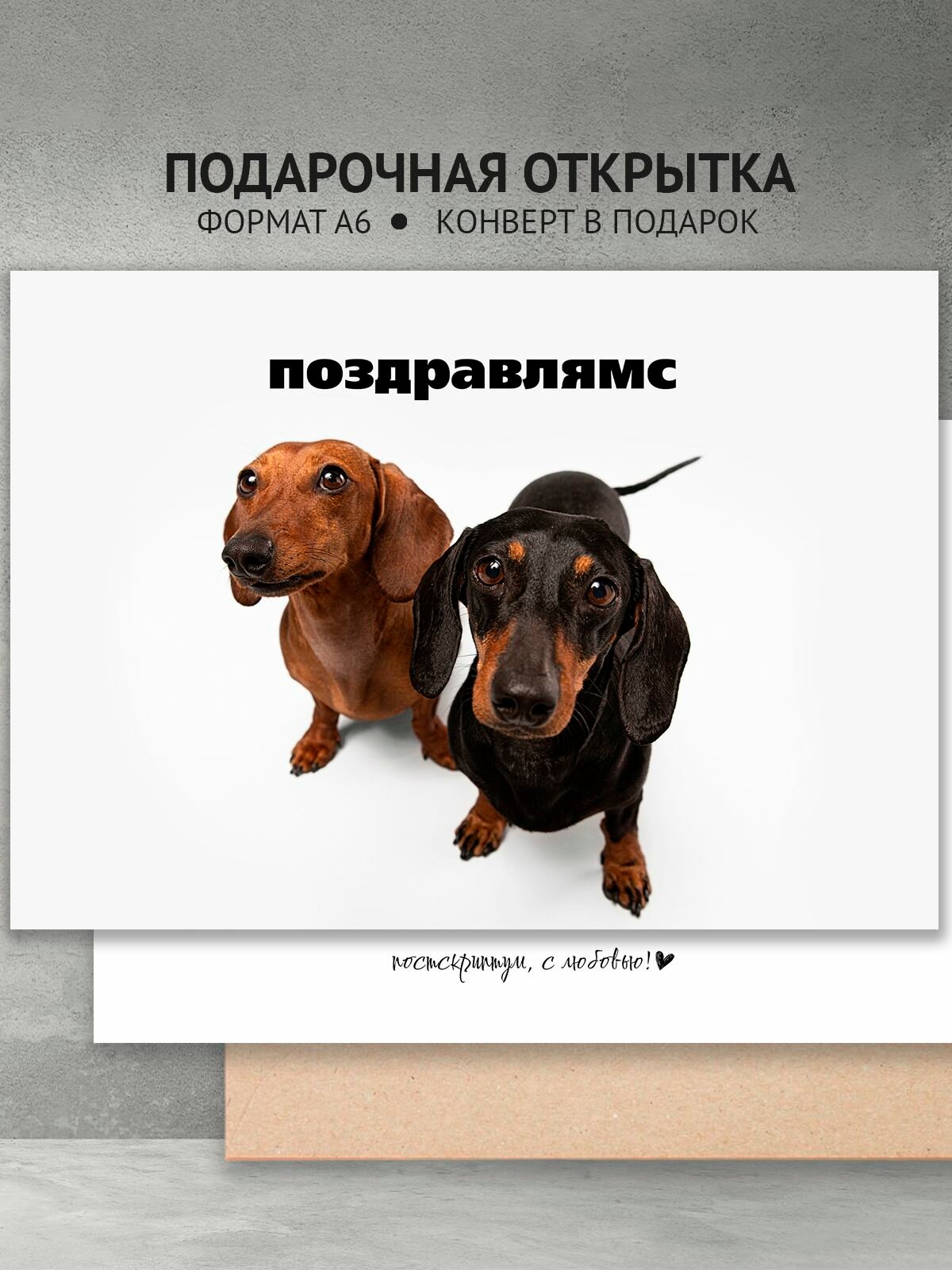 Подарочная открытка с уникальной иллюстрацией такса "Поздравлямс" с днем рождения, с юбилеем, универсаньная