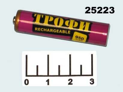 Аккумулятор AAA 1.2V 0.95A Трофи Ni-MH (ААА)