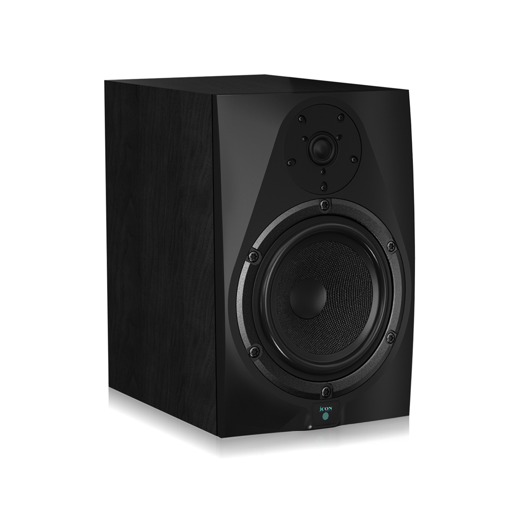 Icon DT-8S Студийный монитор