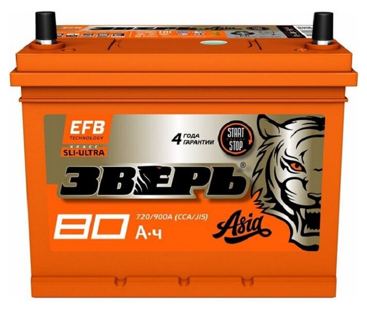 Аккумулятор автомобильный Зверь EFB Asia 80 А/ч 720 А обр. пол. 85D23L Азия авто (232x175x225) с бортиком