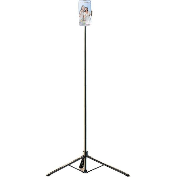 Штатив RTAKO Gold Ratio 2.1m, золотой, Ultra Wide Perspective Dgnjj 001