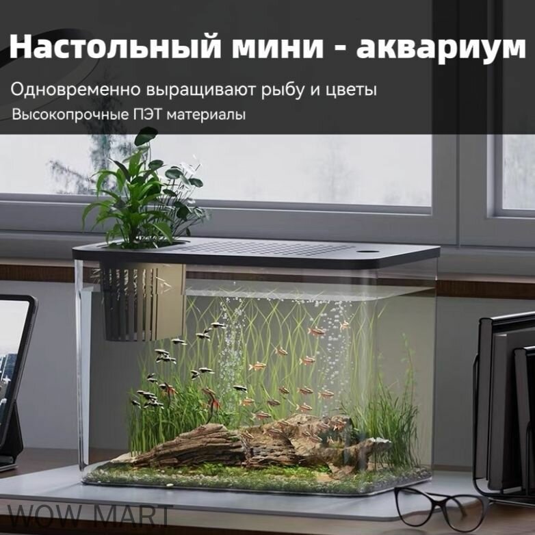 12 л Мини - настольный ландшафтный аквариум, прозрачное высокое разрешение, экологическая панорама
