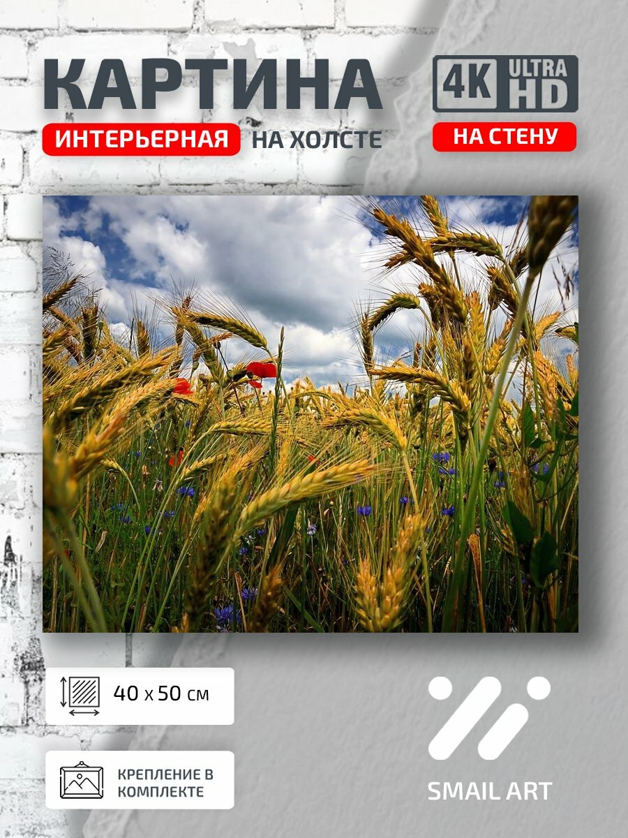 Картина на холсте интерьерная 40 на 50 на стену Трава Landscape для гостиной пейзаж декор