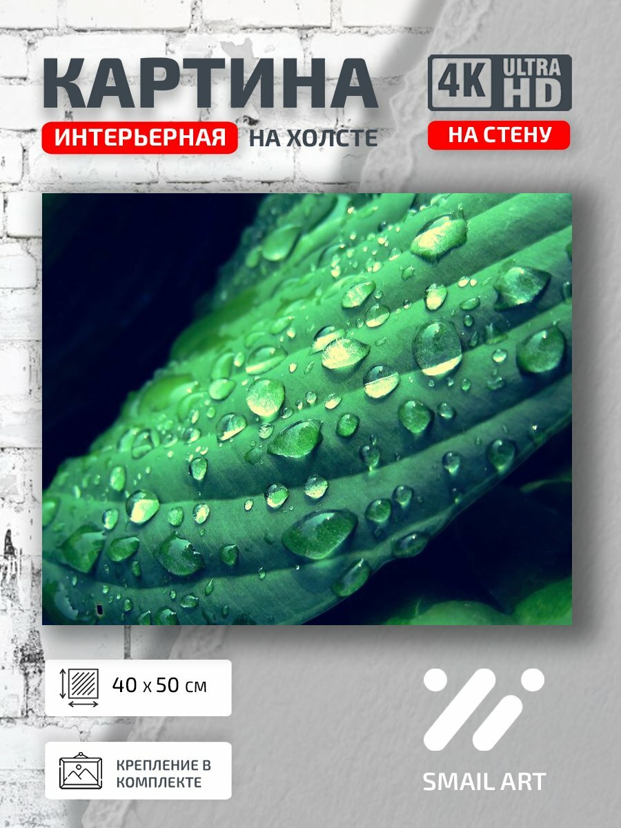 Картина на холсте интерьерная 40 на 50 на стену Капли Macro для студии макро интерьер декор