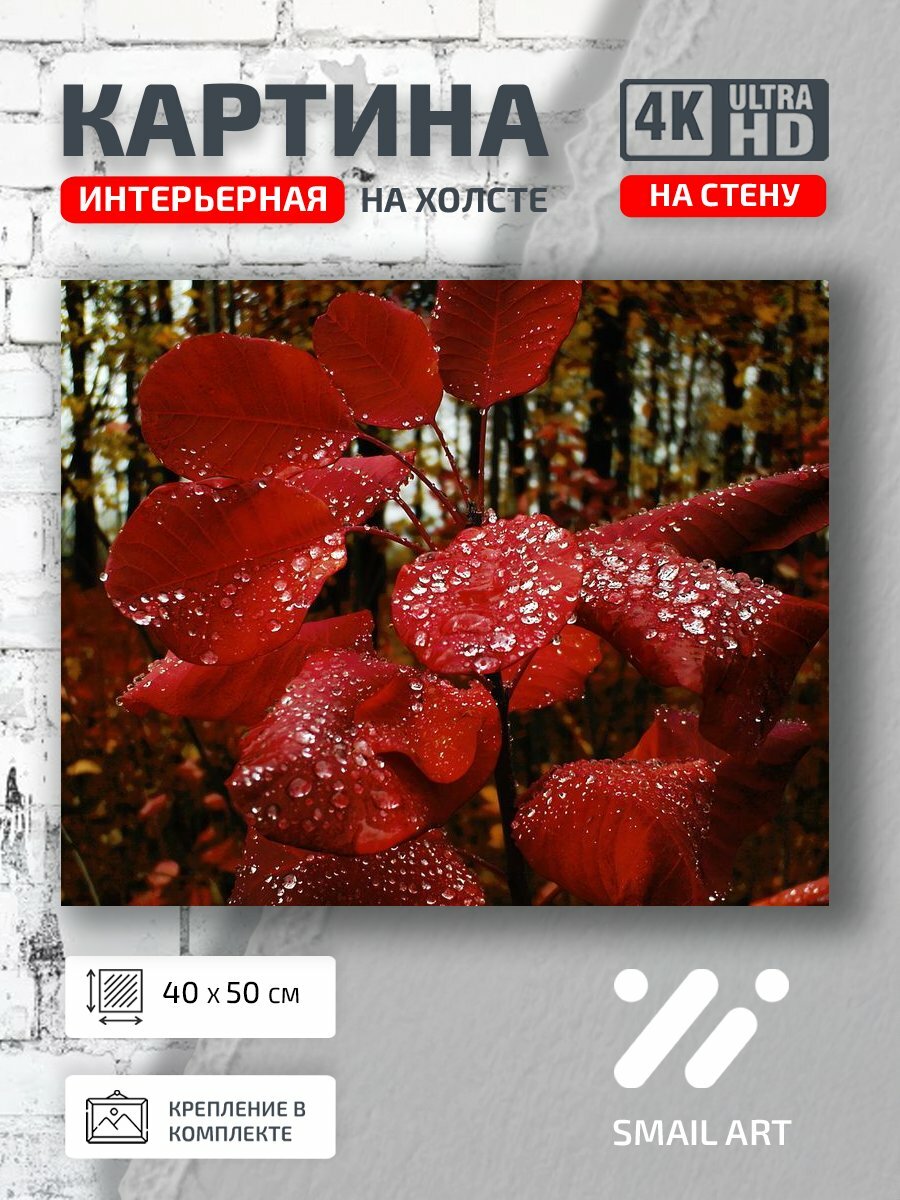 Картина на холсте интерьерная 40 на 50 на стену Капли Landscape для офиса пейзаж интерьер