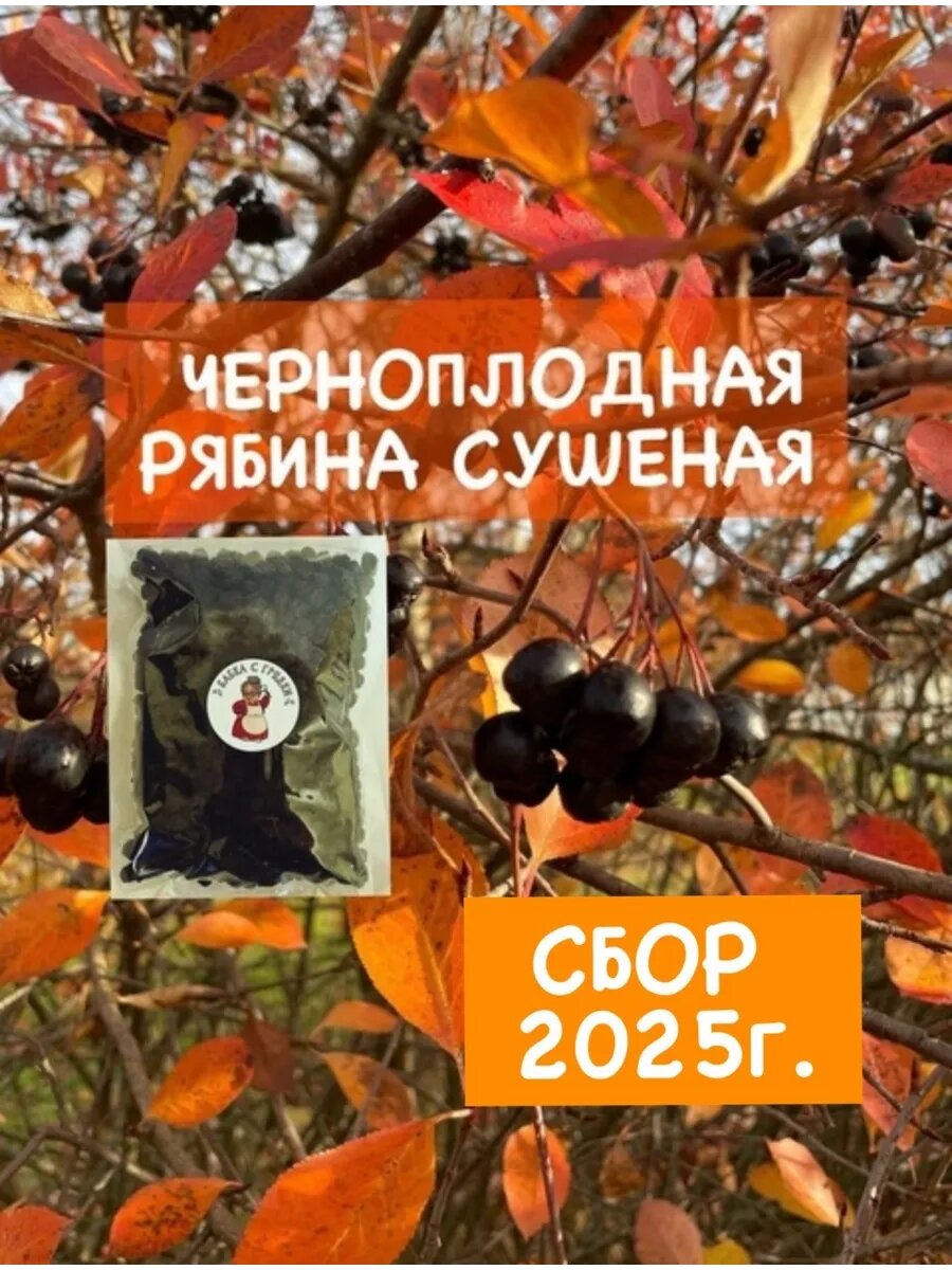 Черноплодная рябина сушеная, 250 гр.