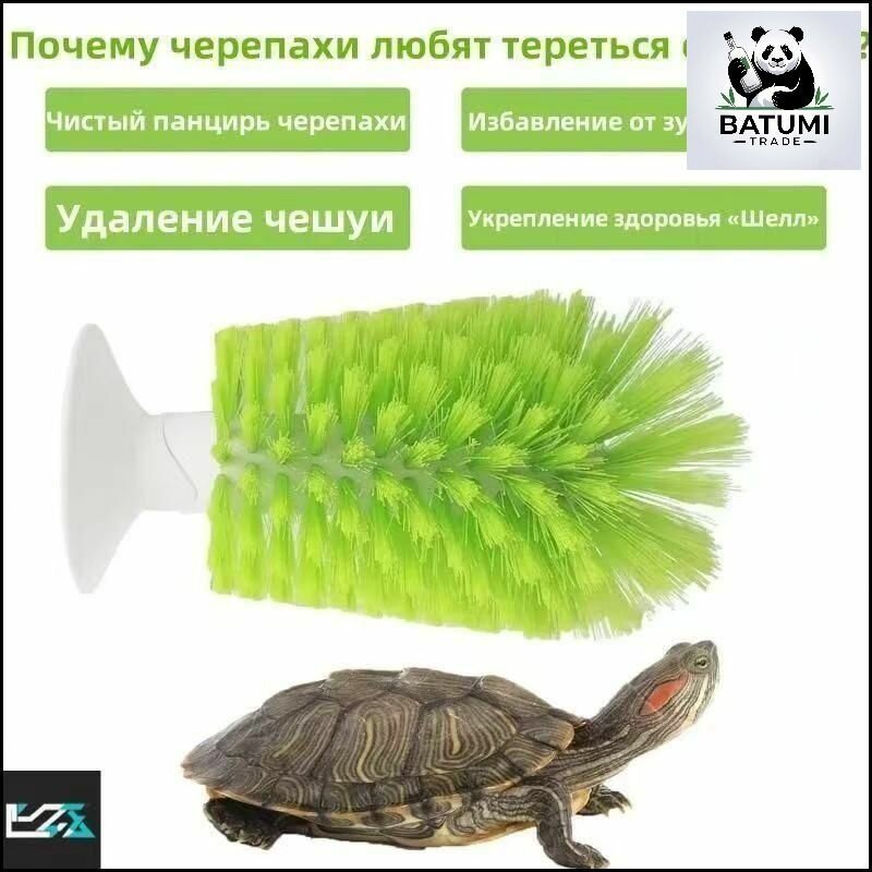 Эксклюзивная скребница для безупречного ухода за панцирем вашей черепахи, этот зелёный аксессуар с вакуумными присосками создан из экологичных материалов