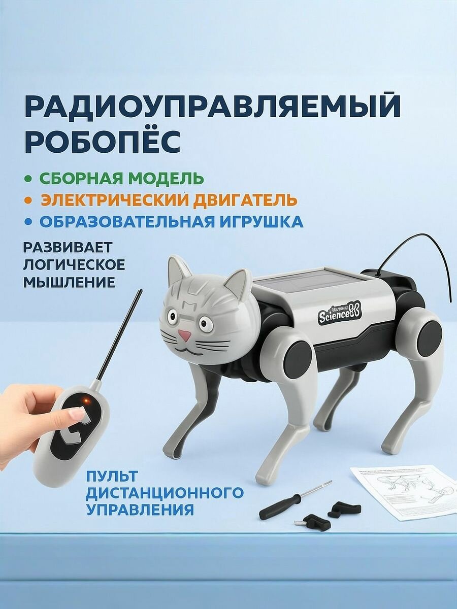 Игрушка радиоуправляемая