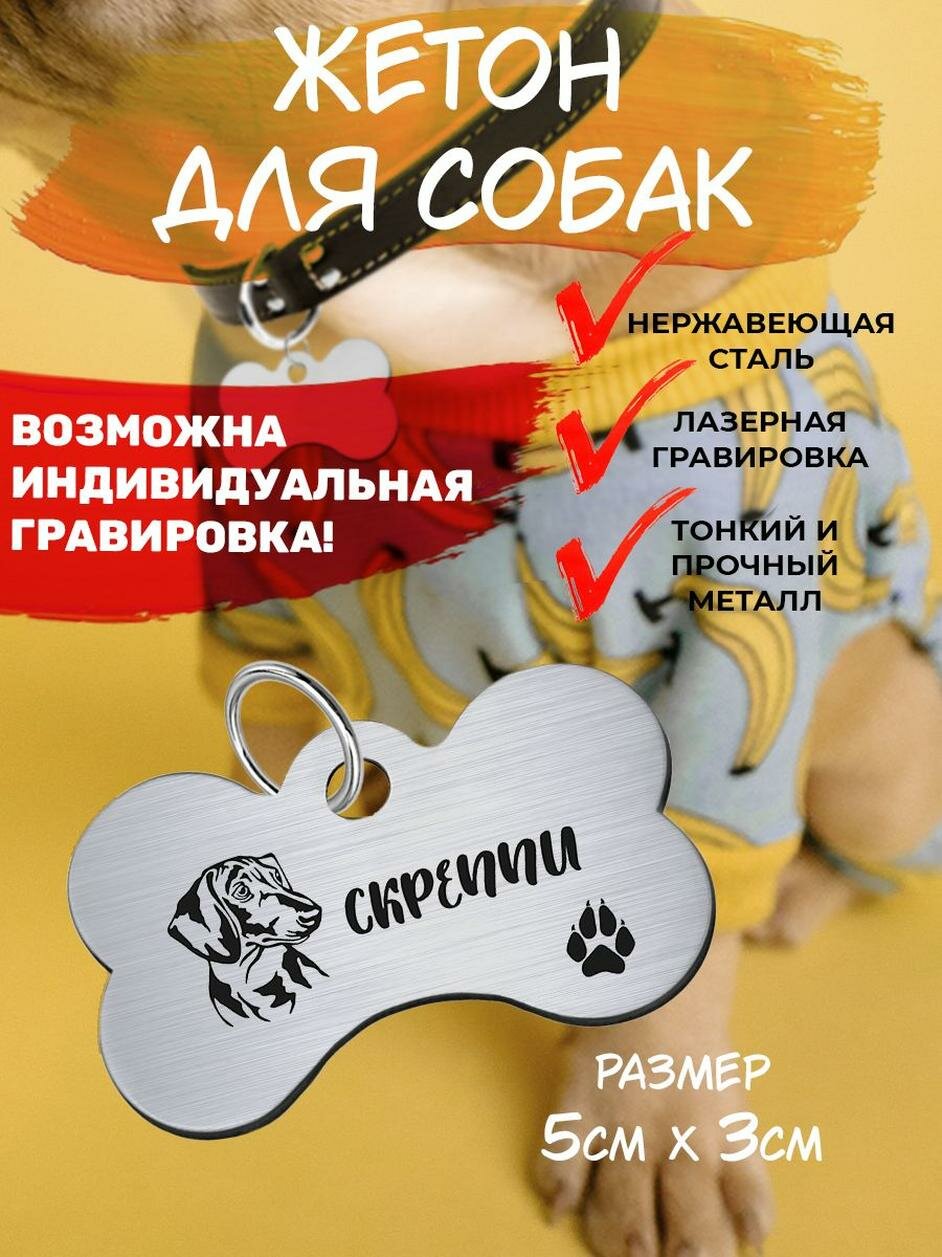 Брелок для собак с гравировкой, нерж. сталь, серебристый, Такса Скреппи