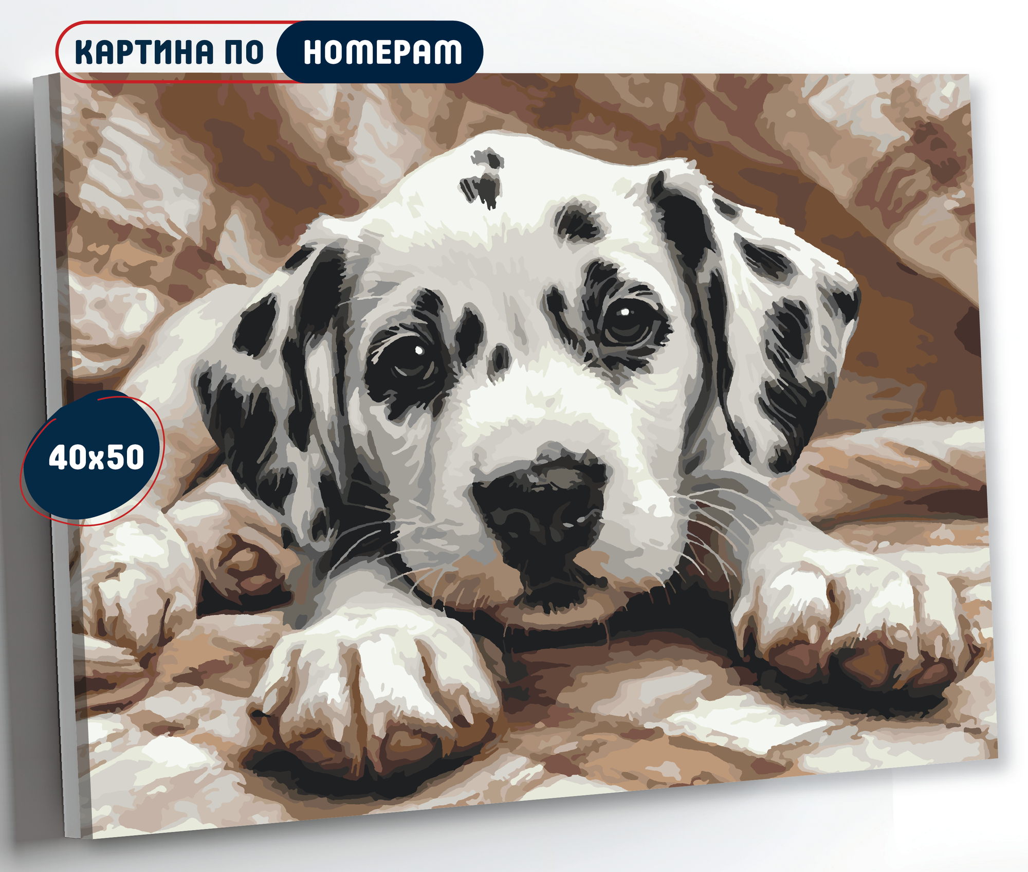 Картина по номерам "Далматинец 2", Холст на подрамнике 40х50, набор для рисования